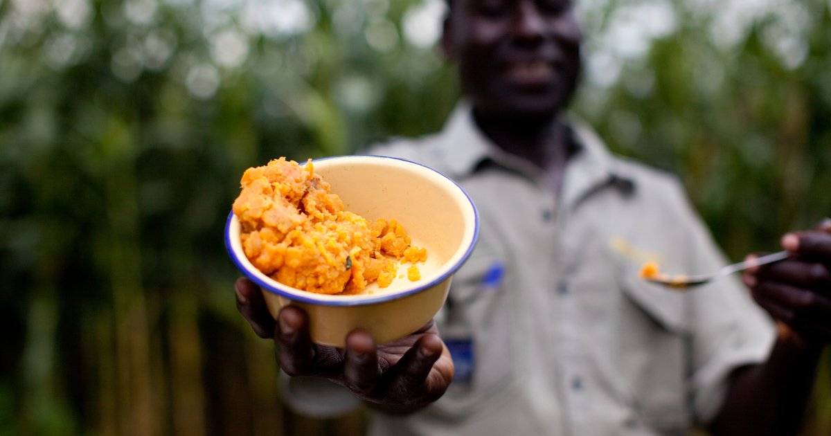 A brave new world for safe and reliable foods | PATH