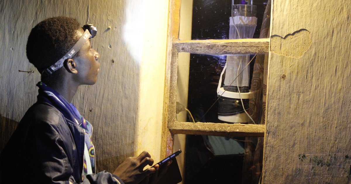 Photo diary: A day in the life of Malaria mosquito collectors | PATH