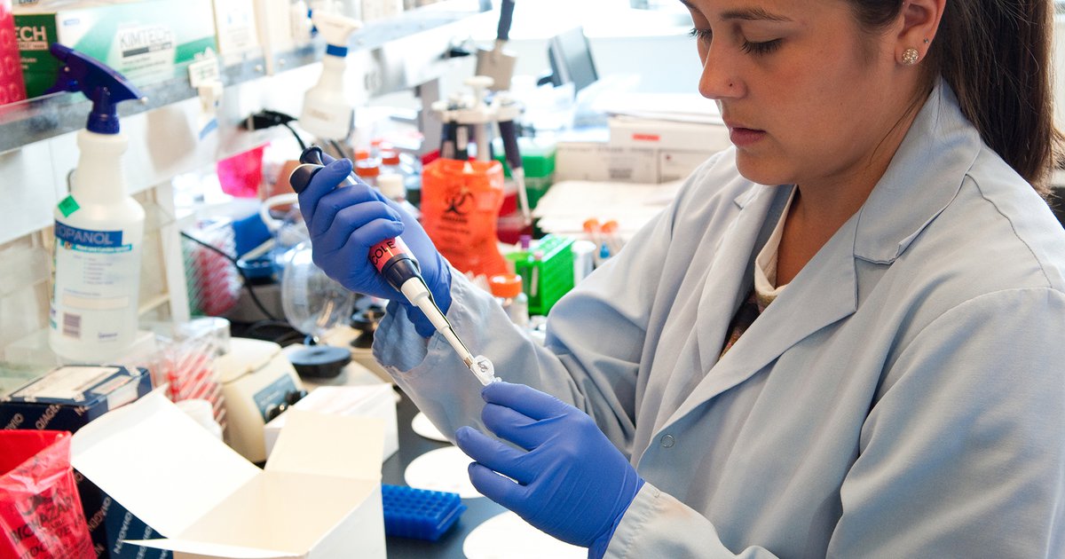 About | Diagnostics | PATH