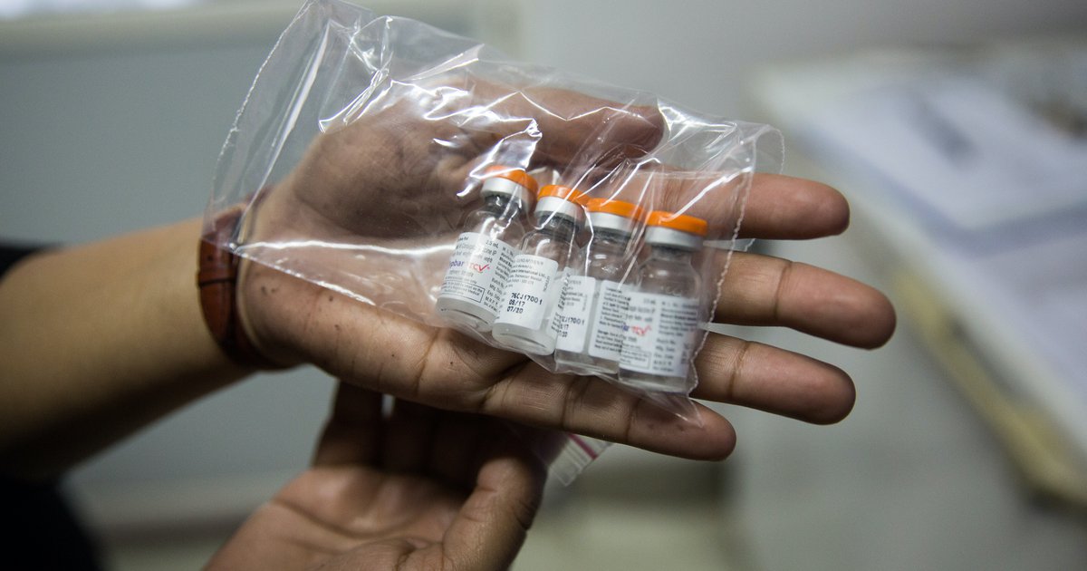 Typhoid conjugate vaccine arrives in Zimbabwe | PATH