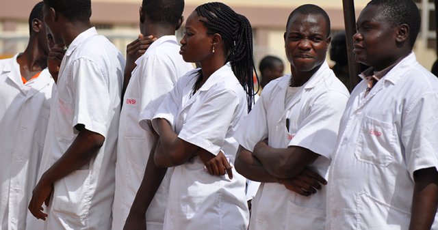 Advancing meningitis research | Center for Vaccine Innovation and ...